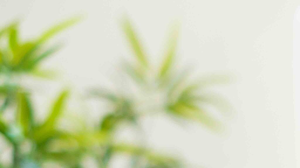 9 Free Things You Can Get With a Chicago Public Library Card