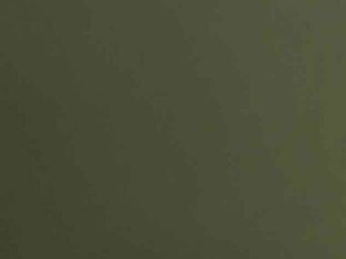 9 Free Things You Can Get With a Chicago Public Library Card