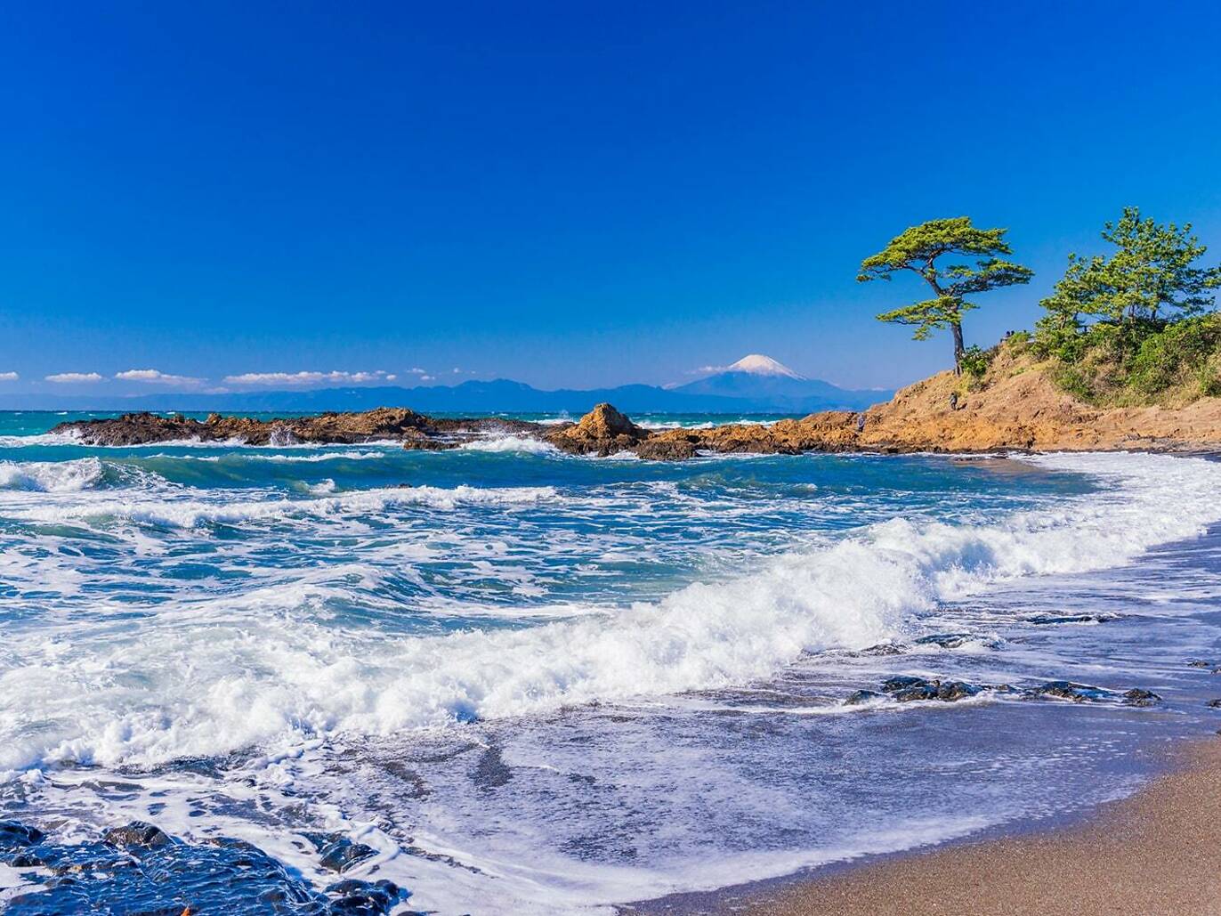 12 best things to do in Tokyo this summer