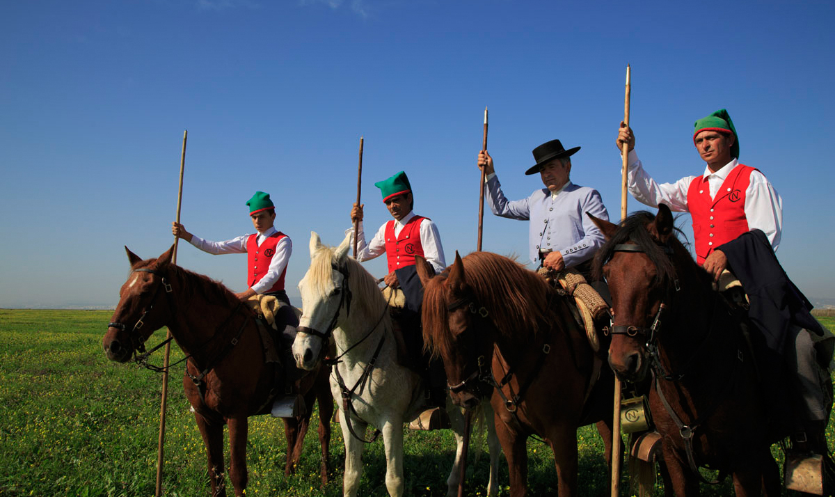Festas do Barrete Verde e das Salinas | Coisas para fazer in Lisboa