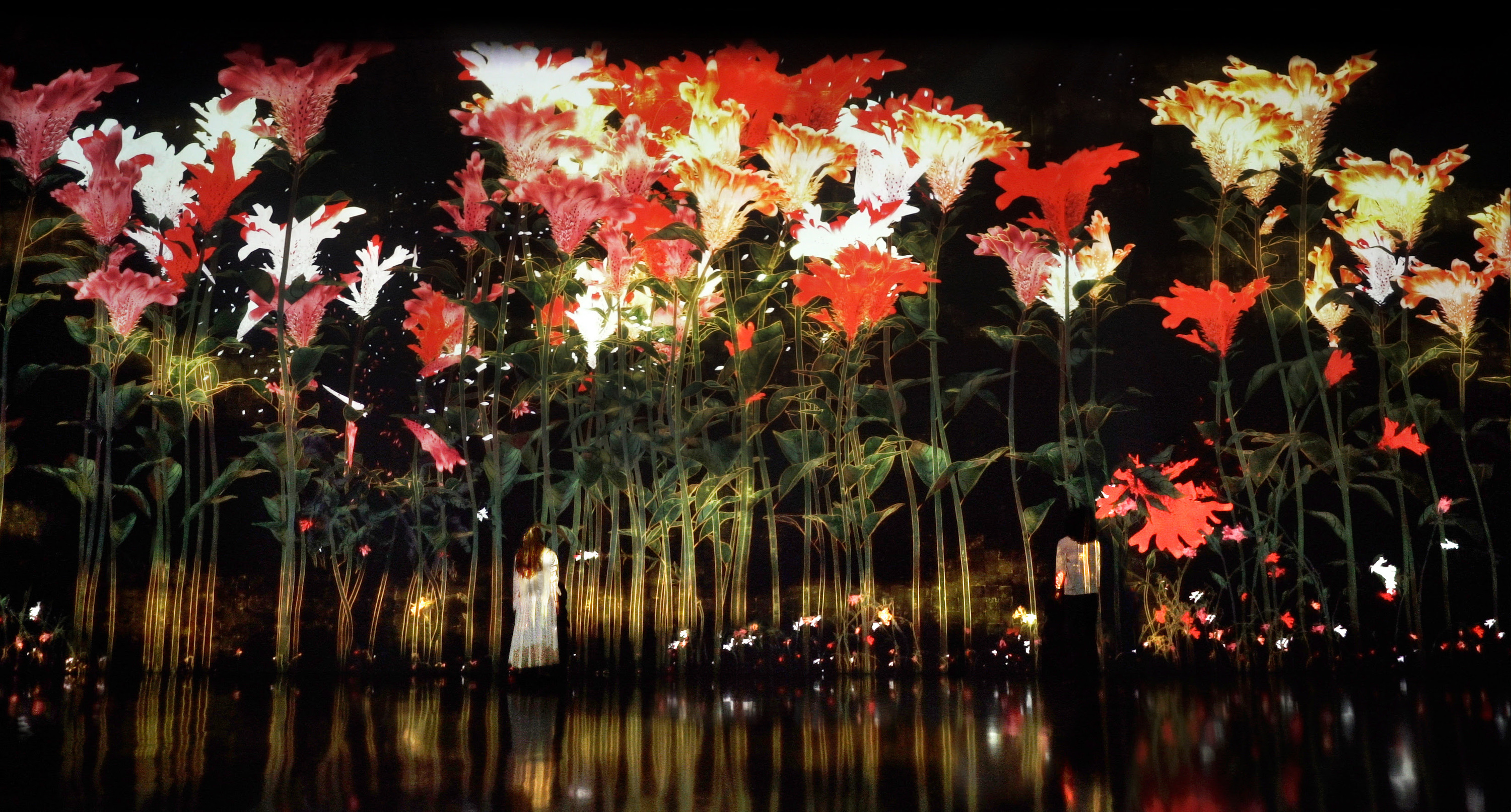 The new teamLab Borderless museum is reopening in January 2024