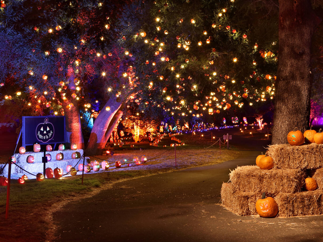 Fall Activities in Los Angeles: Best Things to Do for Seasonal Fun