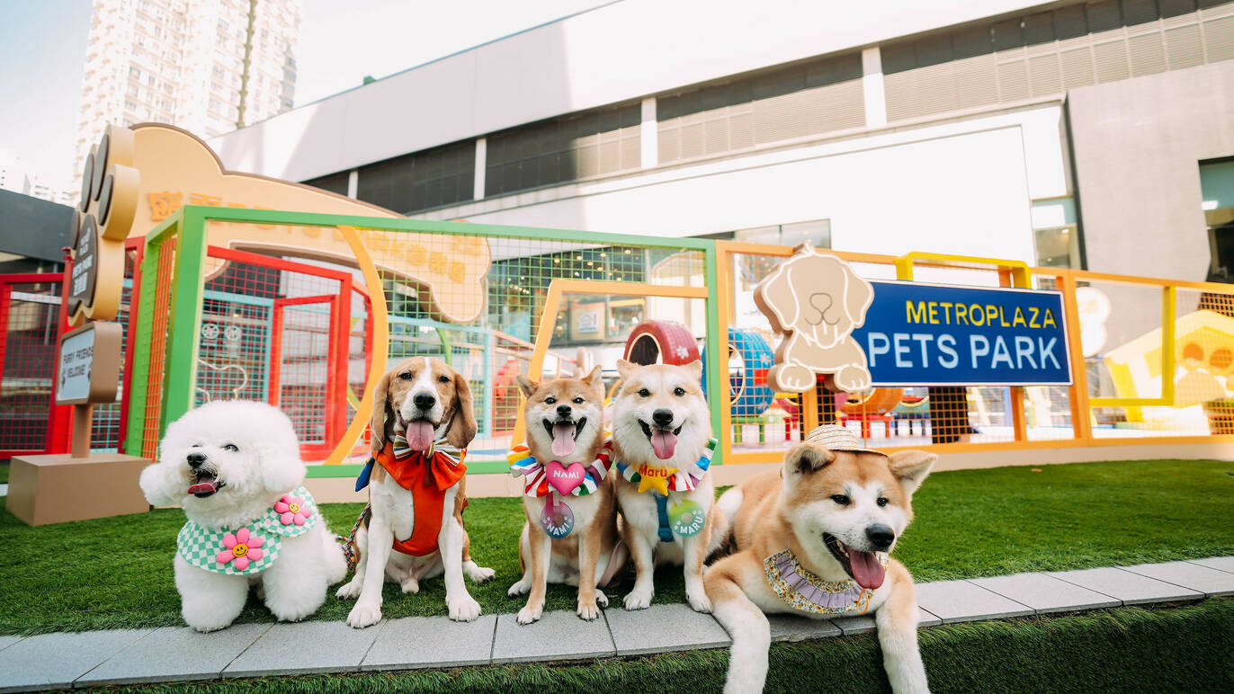 Metroplaza Puppy Splash-Summer HappyFest | Things to do in Hong Kong