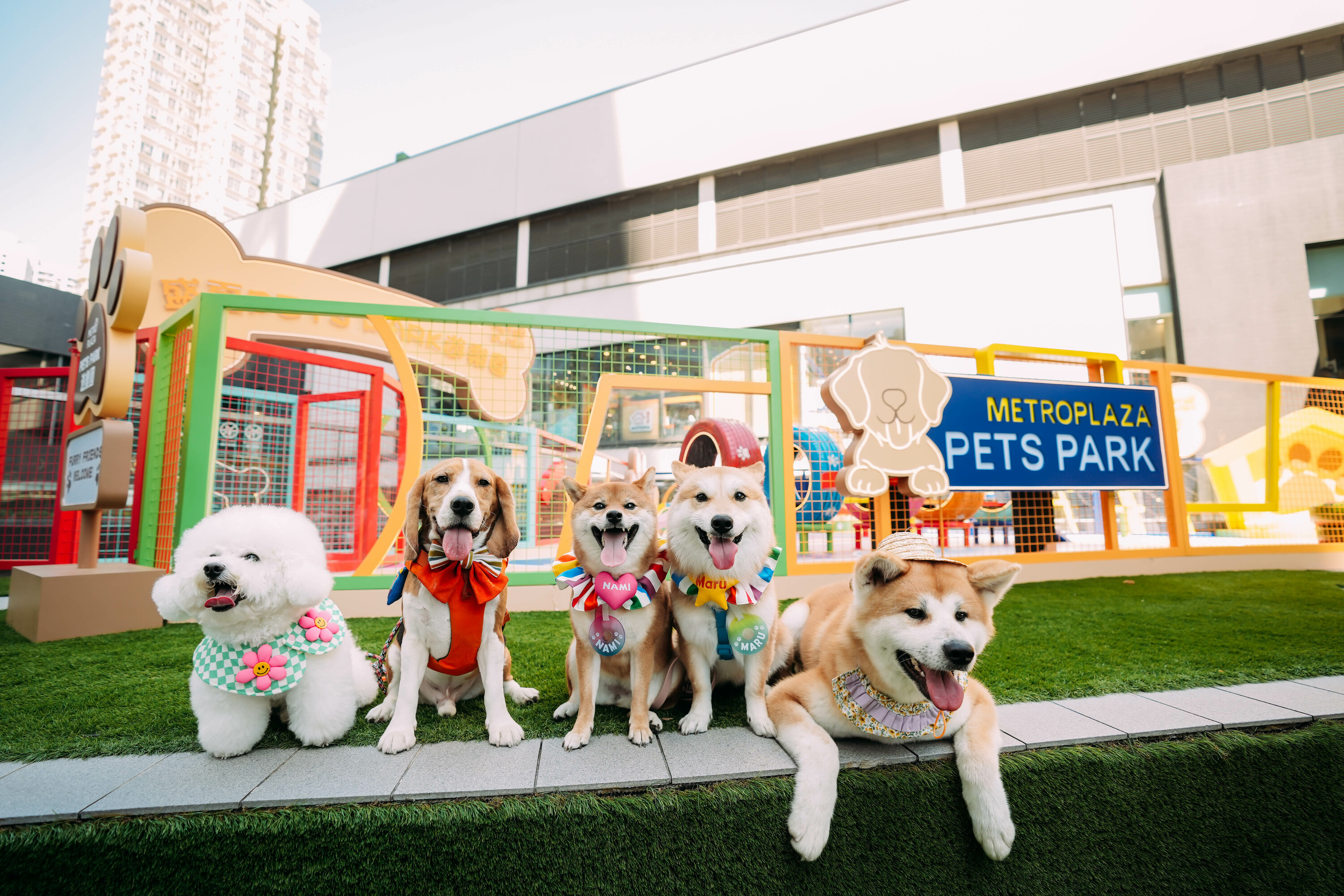 Metroplaza Puppy Splash-Summer HappyFest | Things to do in Hong Kong