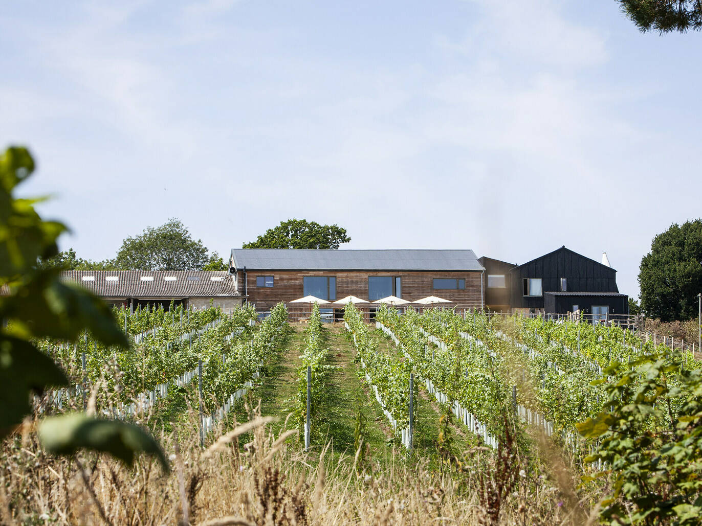 The Best Things to Do in Rye, East Sussex: The Perfect Day Trip ...