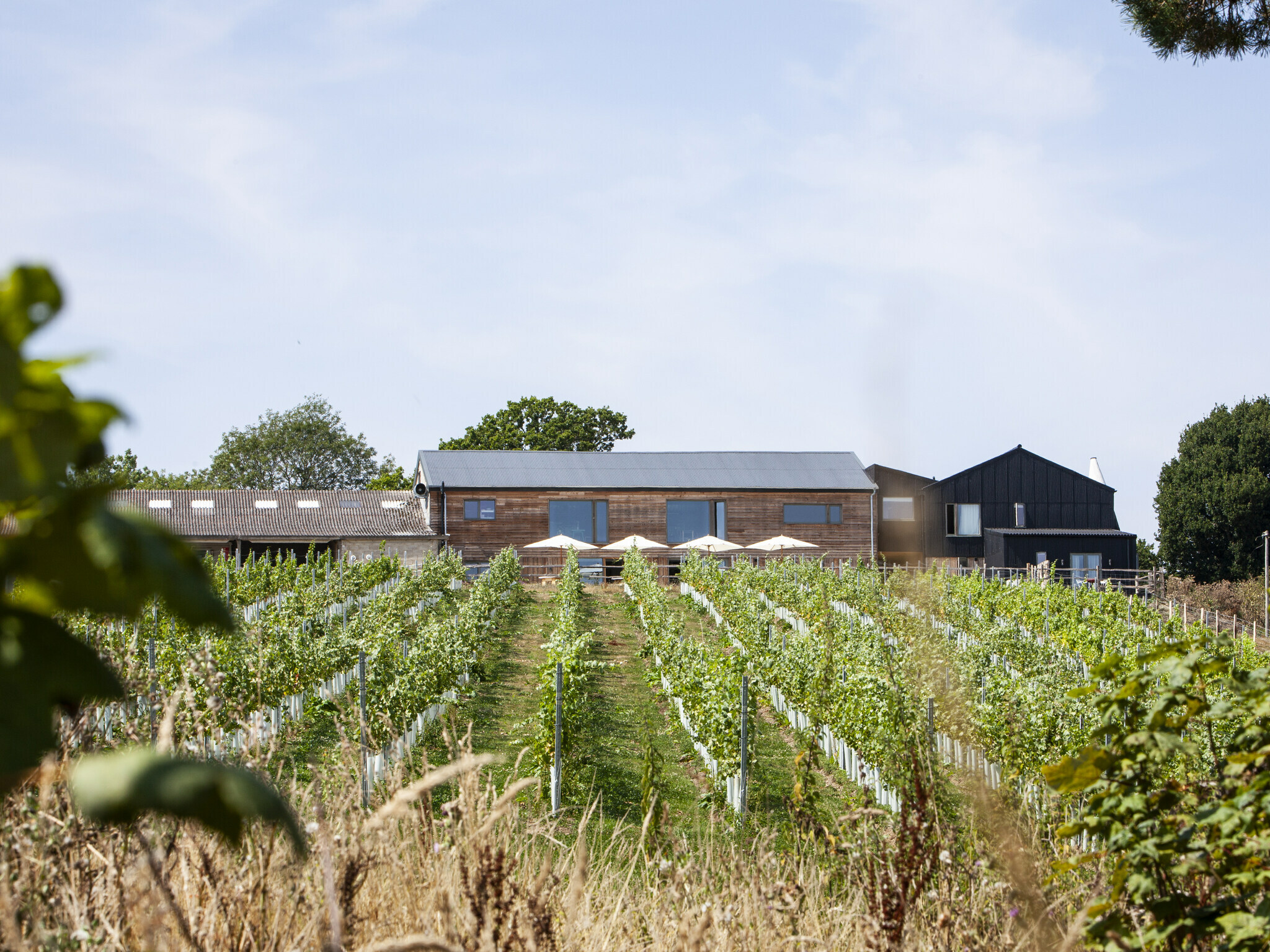 Tillingham Winery | Things to do in Rye