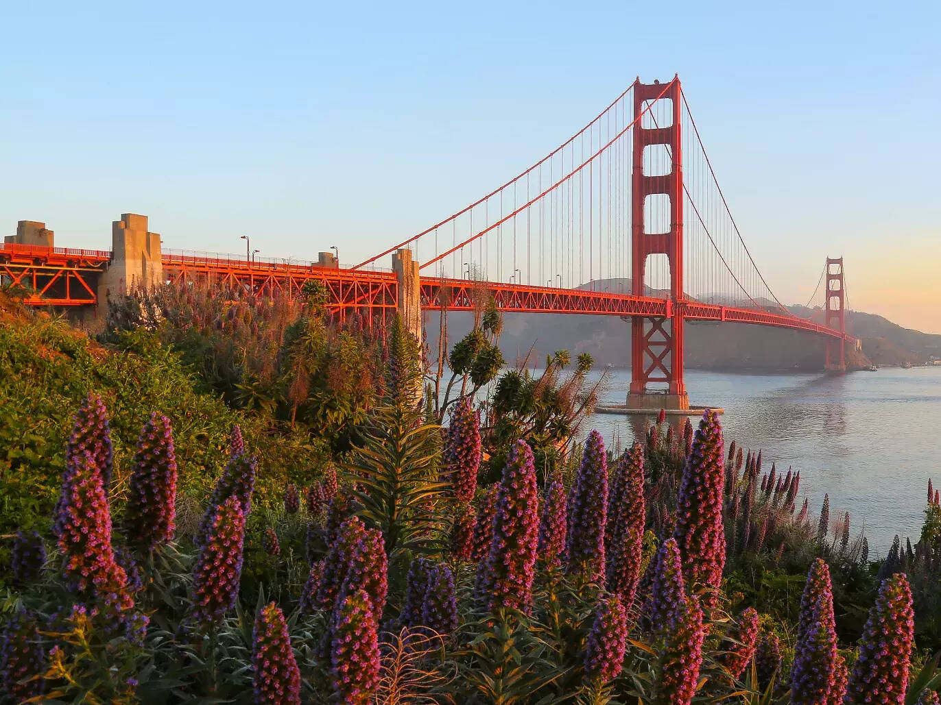 20 Best Tourist Attractions in the USA For Both Locals and Tourists