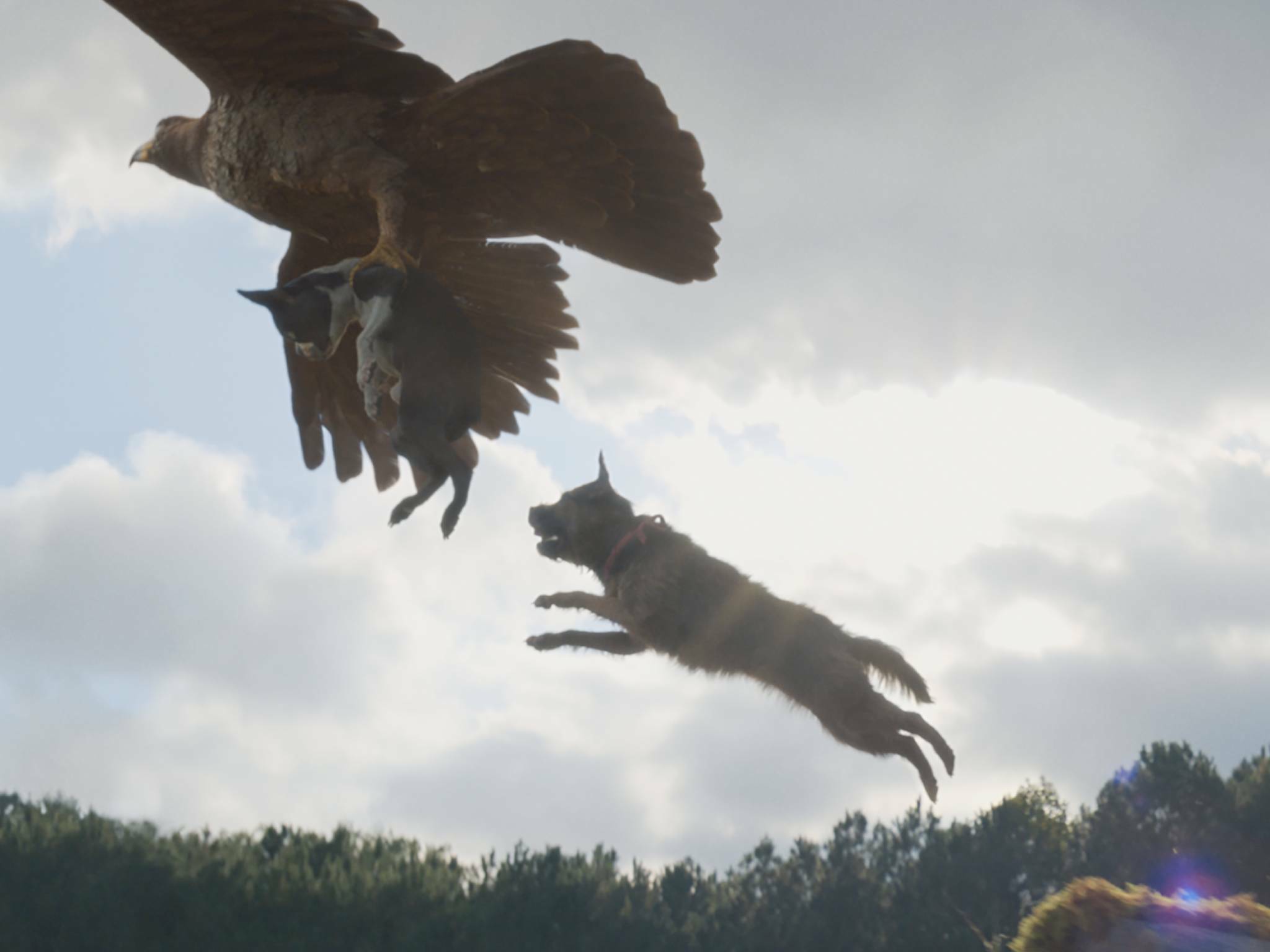 Strays review: Will Ferrell's canine comedy is sophomoric yet sweet