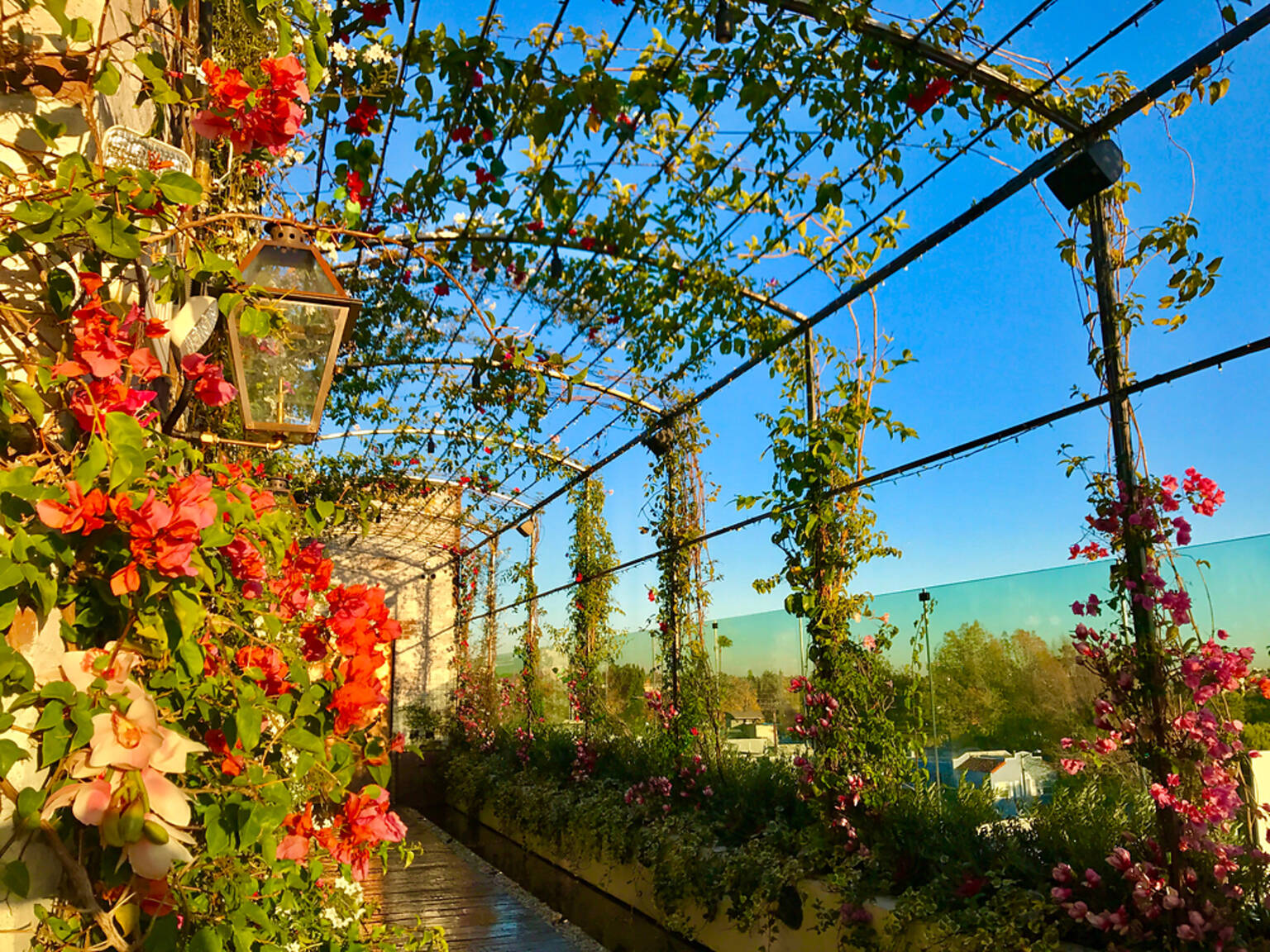 17 Best Rooftop Restaurants For Food as Good as the Views