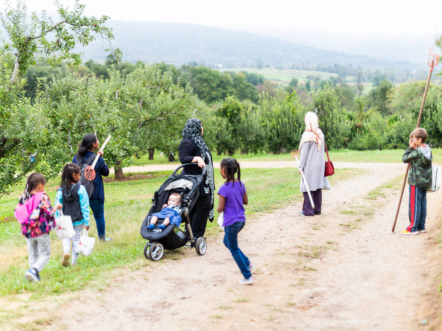 15 Best Spots for Apple Picking Near Washington, D.C.