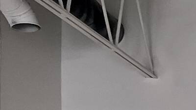 26 Best Miami Coffee Shops to Work, Gather and Get That Cafecito Fix