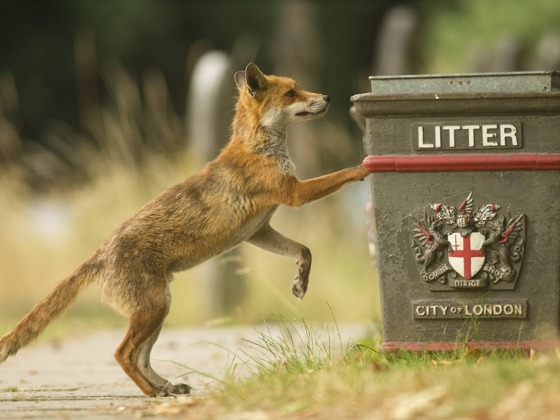 23 Things You Should Know Before Moving to London