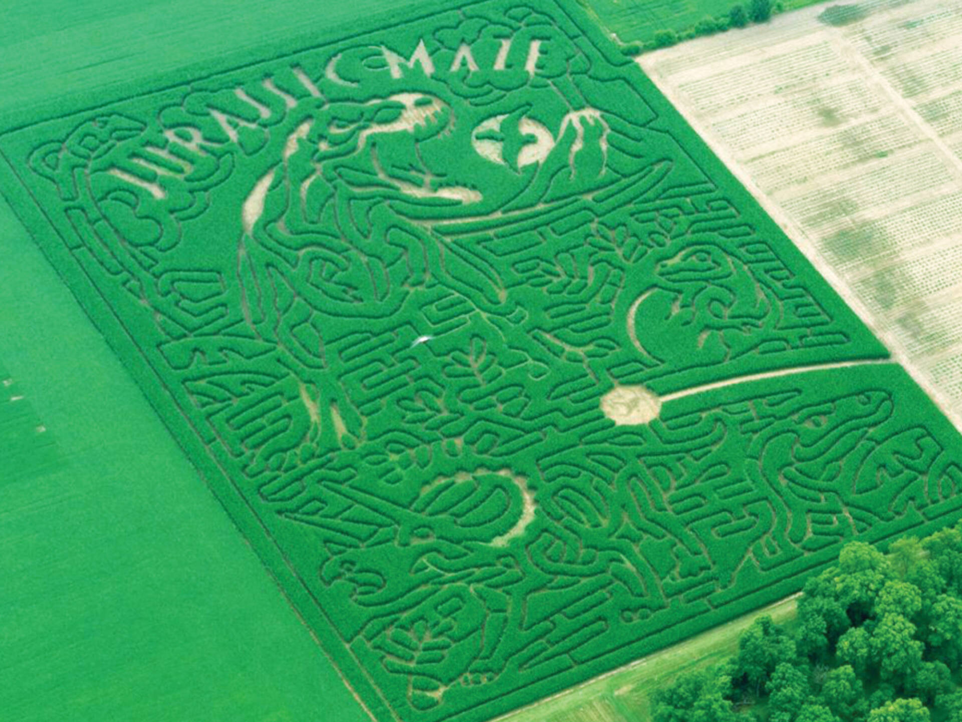 16 Biggest and Best Corn Mazes in the US to Get Lost In