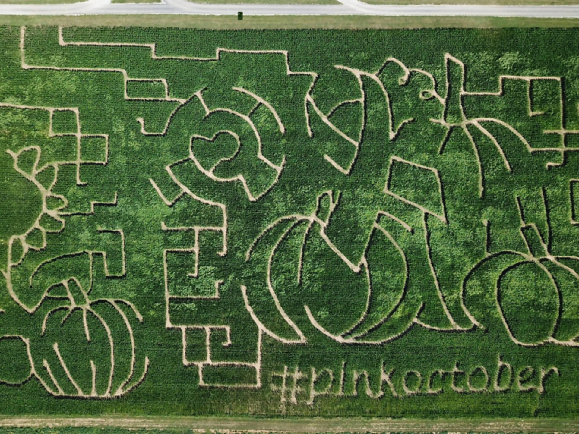 16 Biggest and Best Corn Mazes in the US to Get Lost In