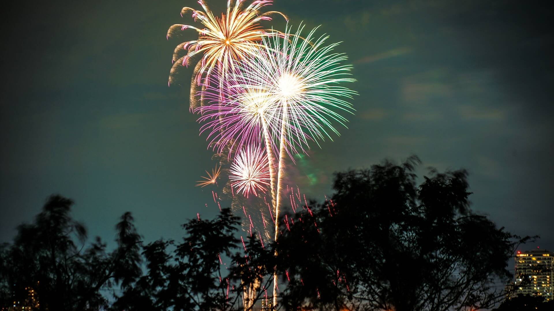 Tamagawa Fireworks Festival | Things to do in Tokyo