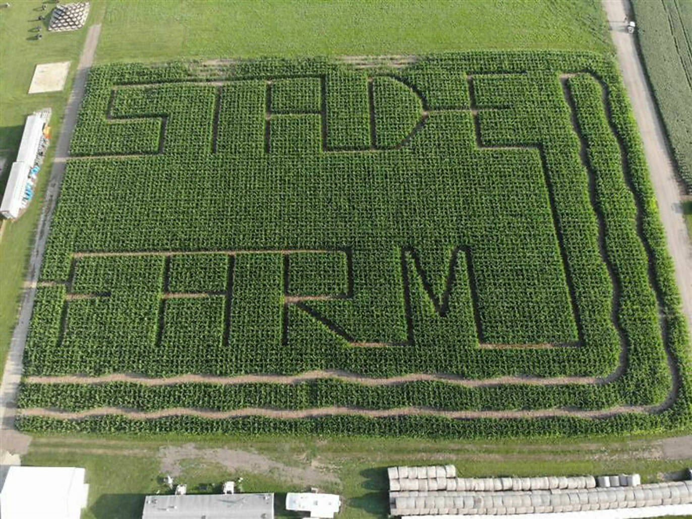 18 Best Corn Mazes Near Chicago That The Whole Family Will Enjoy