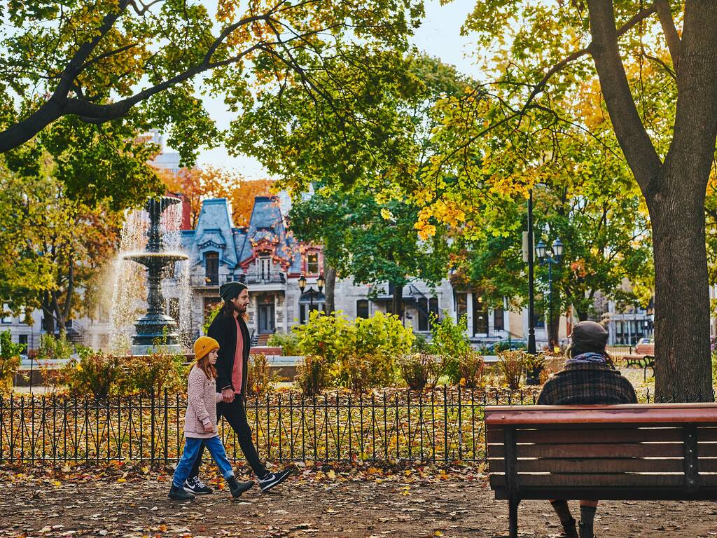 Best Places To See Fall Colours in Montreal