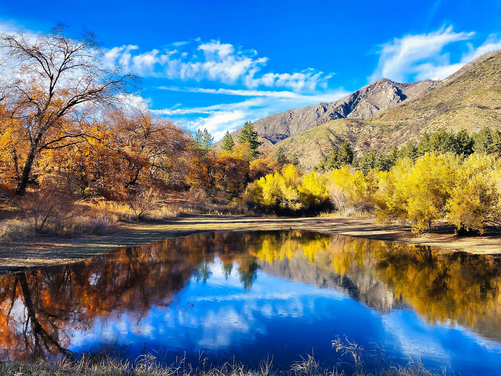 Fall Foliage in Los Angeles: Best Places to Spot Fall Colors