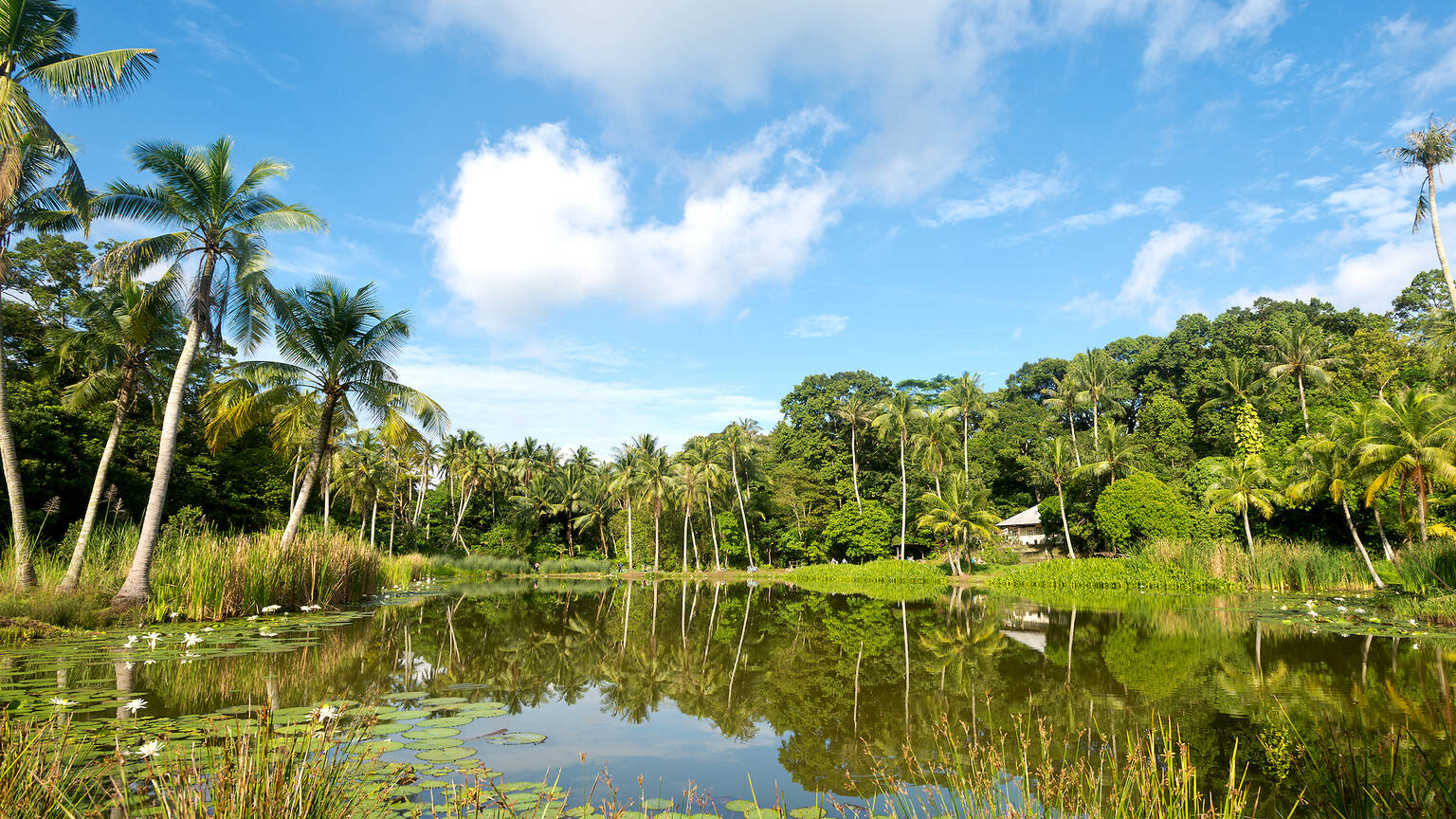 Guide To Pulau Ubin: Things To Do And Explore On The Island