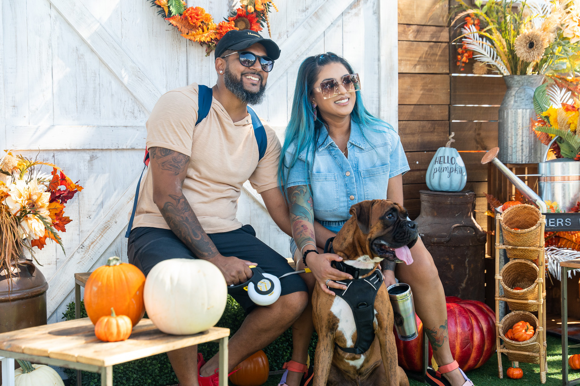 Find Your Perfect Pumpkin Patch in Miami This Fall 2023