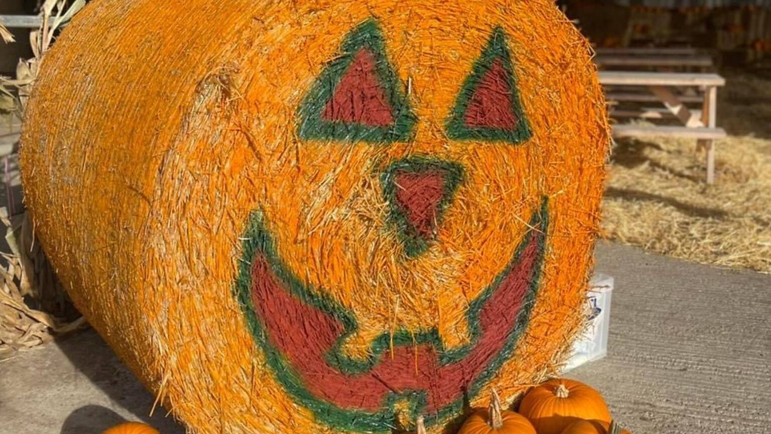 10 Best Halloween Events in the UK 2025 to Get Spooky