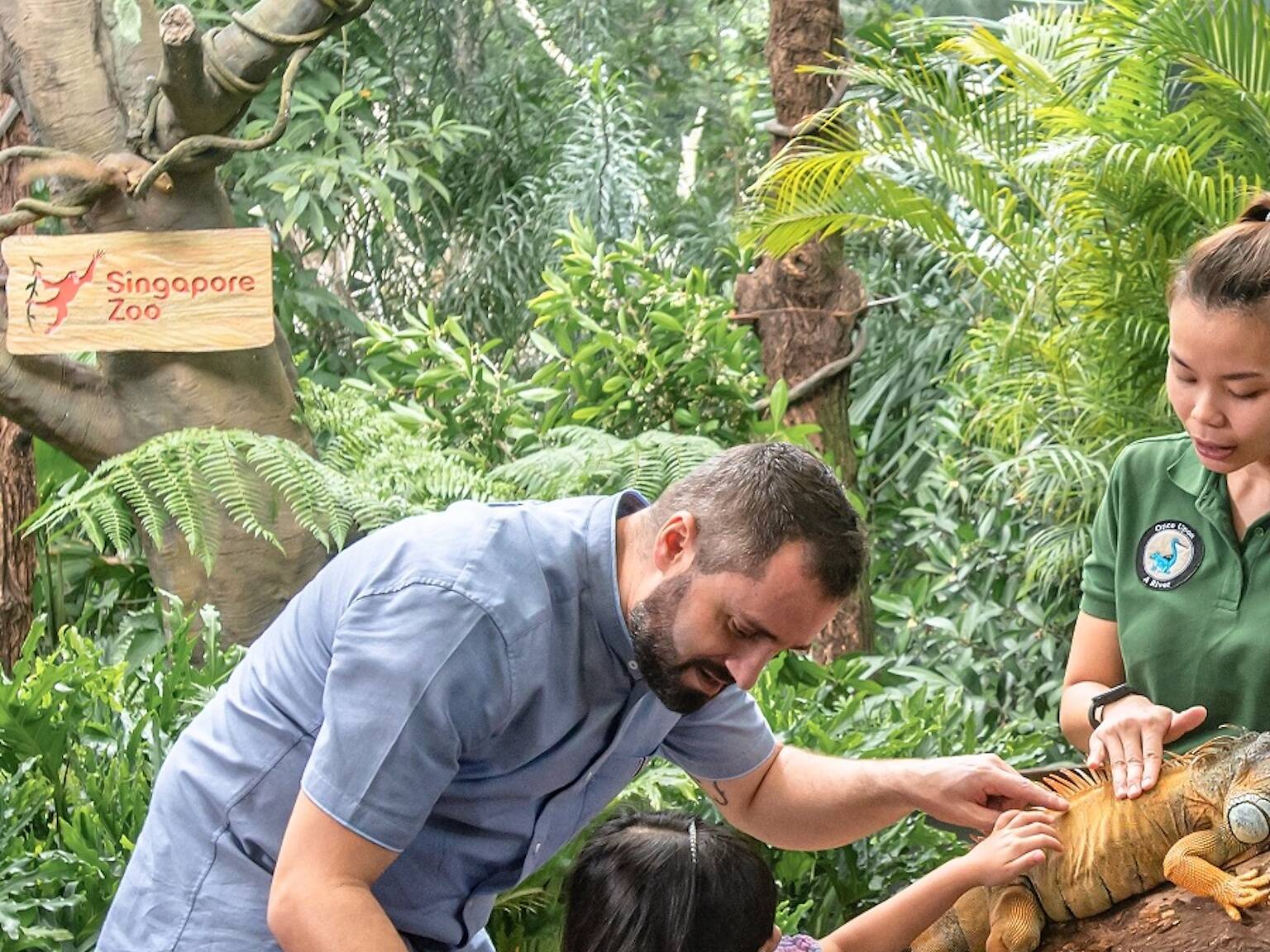 Singapore Zoo: The Best Things To Do, See, And Eat