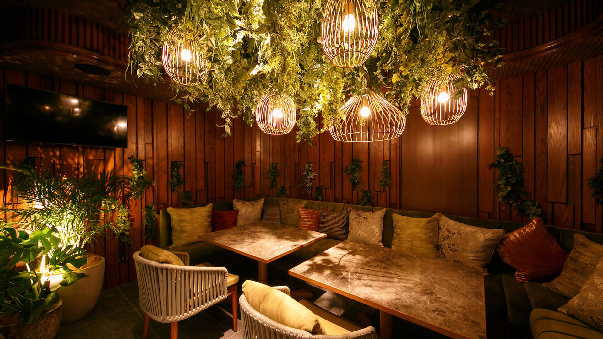 Zouk Tokyo | Nightlife in Ginza, Tokyo