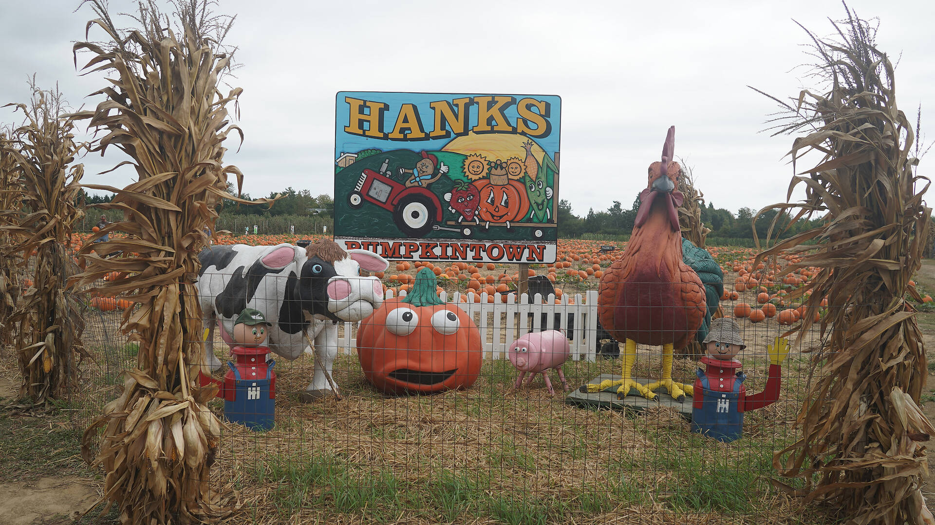 10 Best Pumpkin Patches in the U.S.