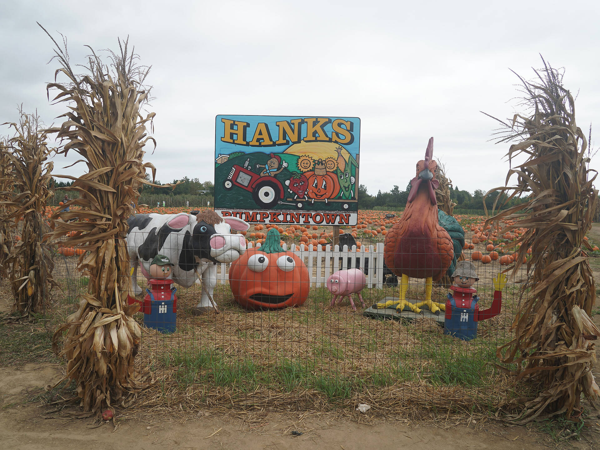 10 Best Pumpkin Patches in the U.S.