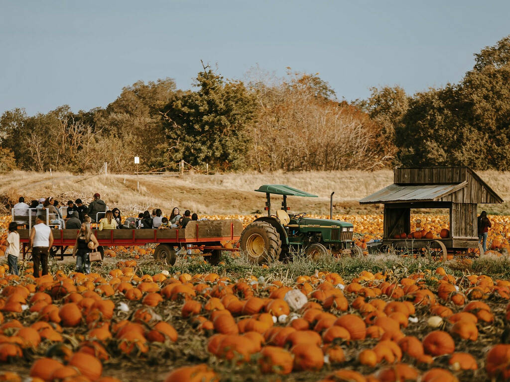 10 Best Pumpkin Patches in the U.S.