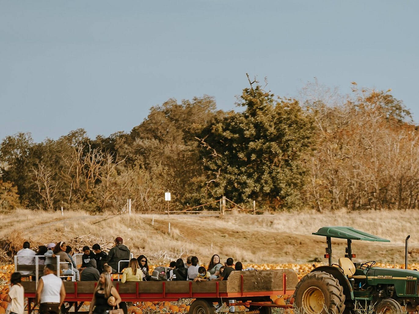 10 Best Pumpkin Patches in the U.S.