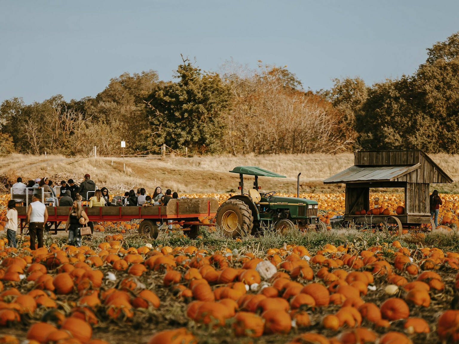 10 Best Pumpkin Patches in the U.S.
