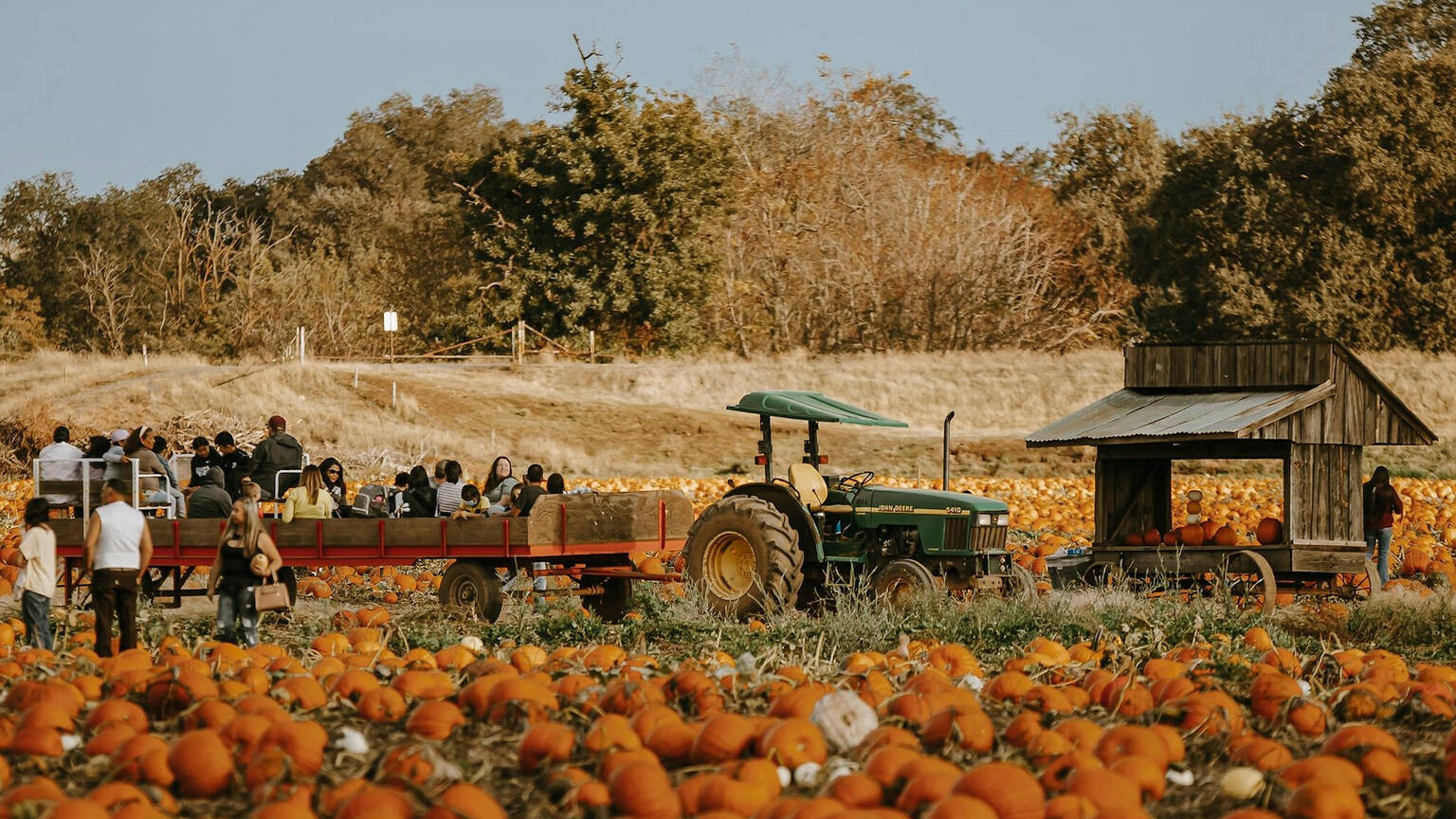 10 Best Pumpkin Patches in the U.S.