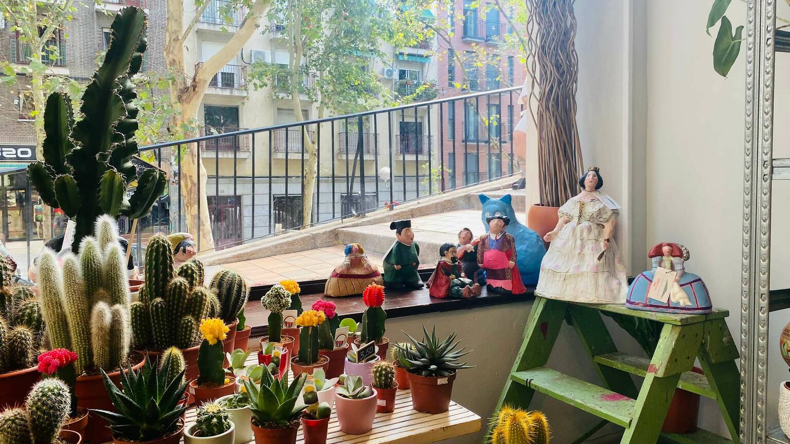 Esta es la la nueva tienda que conquista el Rastro: plantas exóticas ...