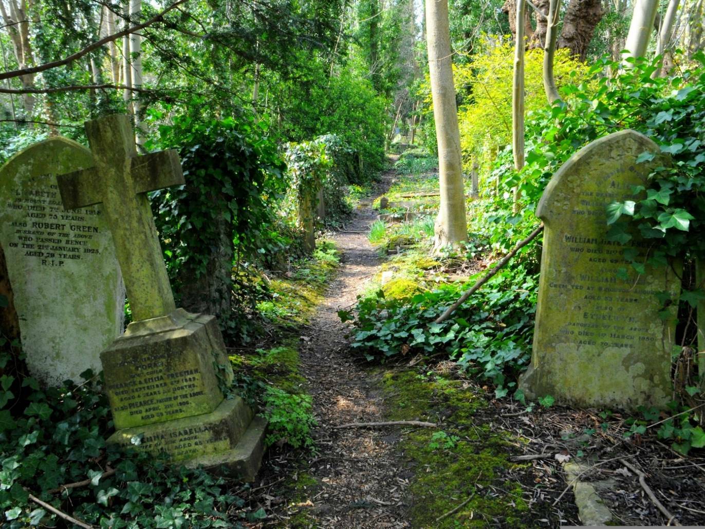 5 Eerily Beautiful Graveyards & Cemeteries to Visit in the UK
