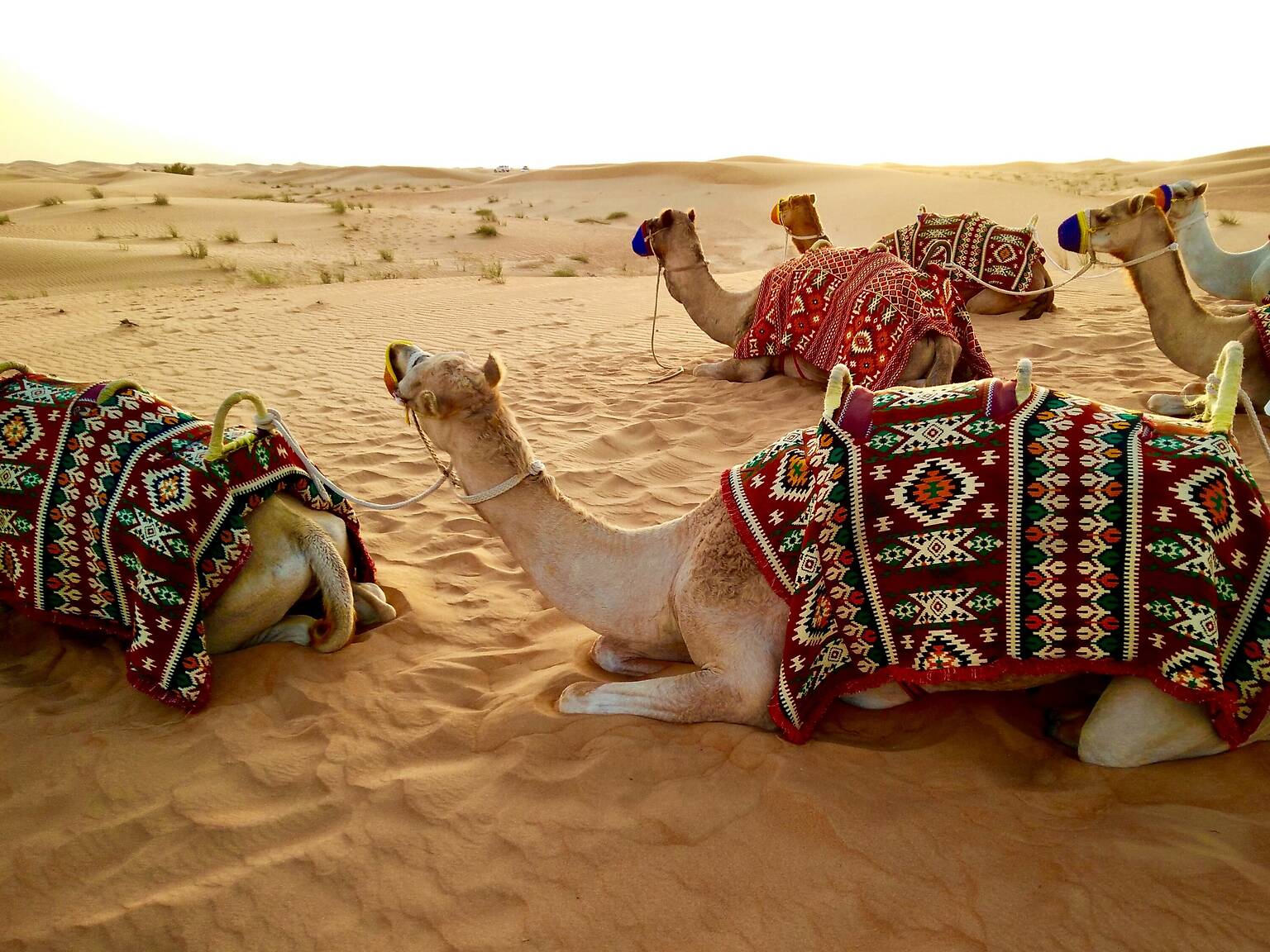 7 Best Family Friendly Holiday Destinations in Asia