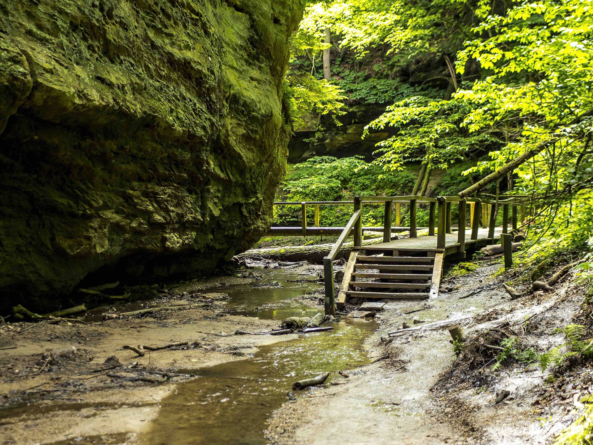 11 Best Places Places to See Fall Foliage Near Chicago