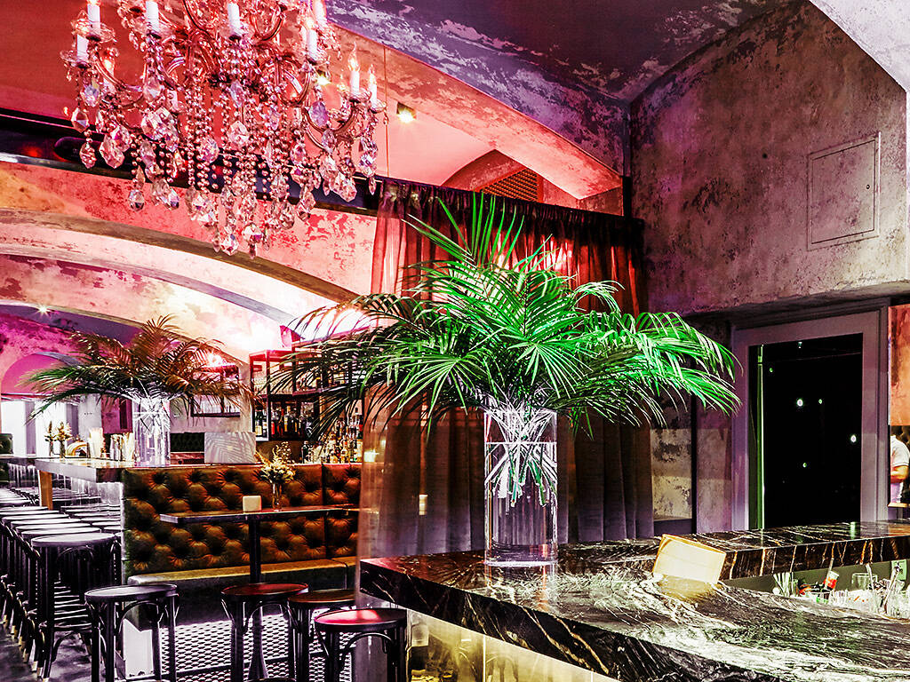 19 Best Restaurants in Vienna, Picked By Locals