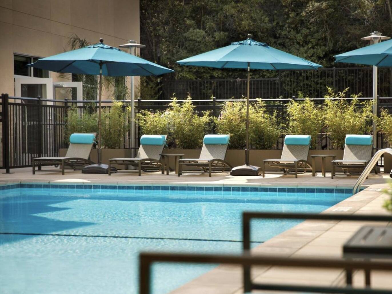 12 Best Hotels in Santa Cruz for 2025