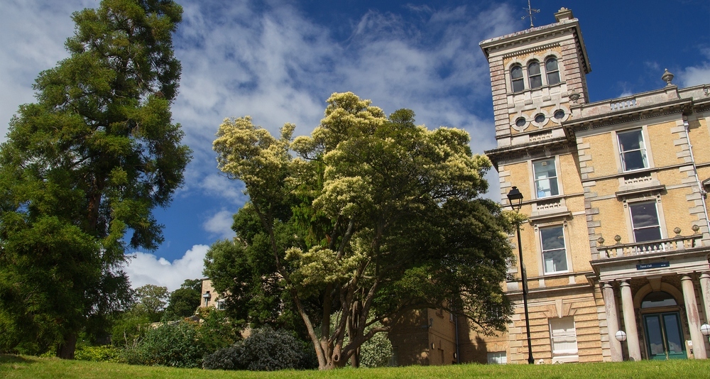 This UK University Is Now Offering a Master’s Degree in Magic