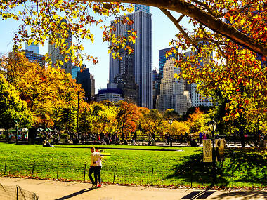 14 Best fall date ideas and romantic things to do outside in autumn