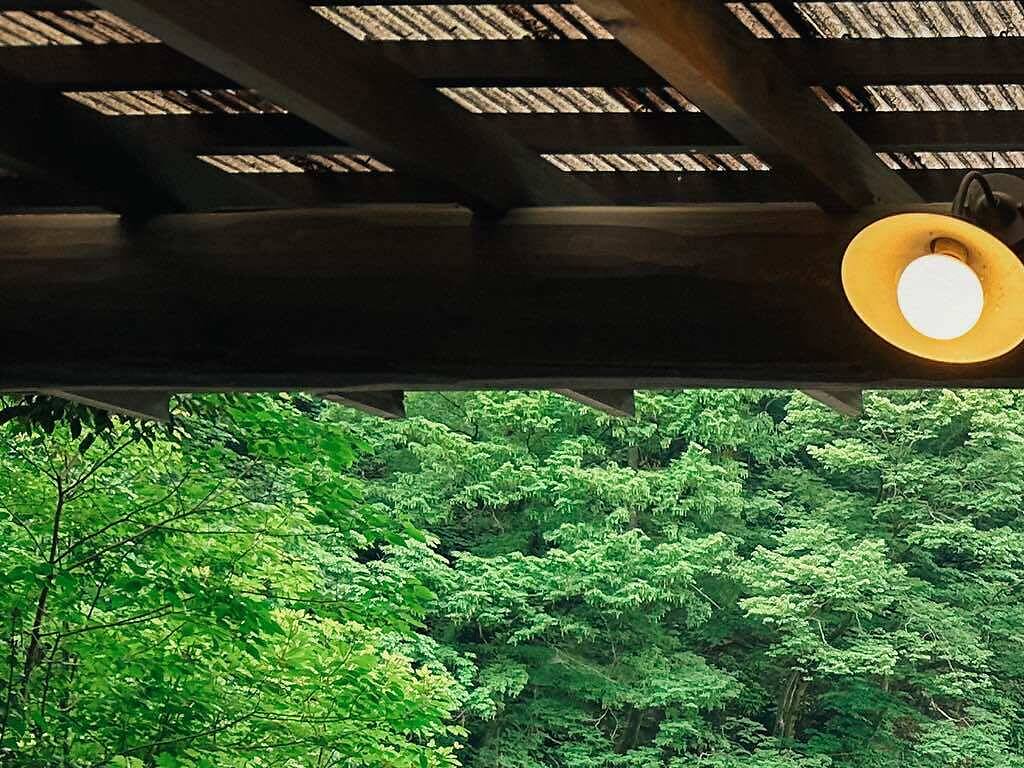 3 relaxing forest cafés you didn't know exist in Tokyo
