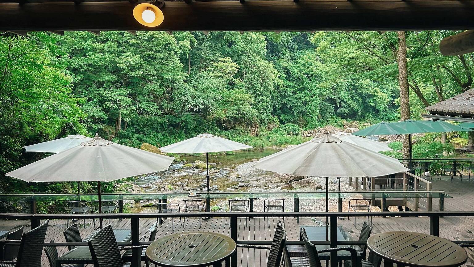 3 relaxing forest cafés you didn't know exist in Tokyo