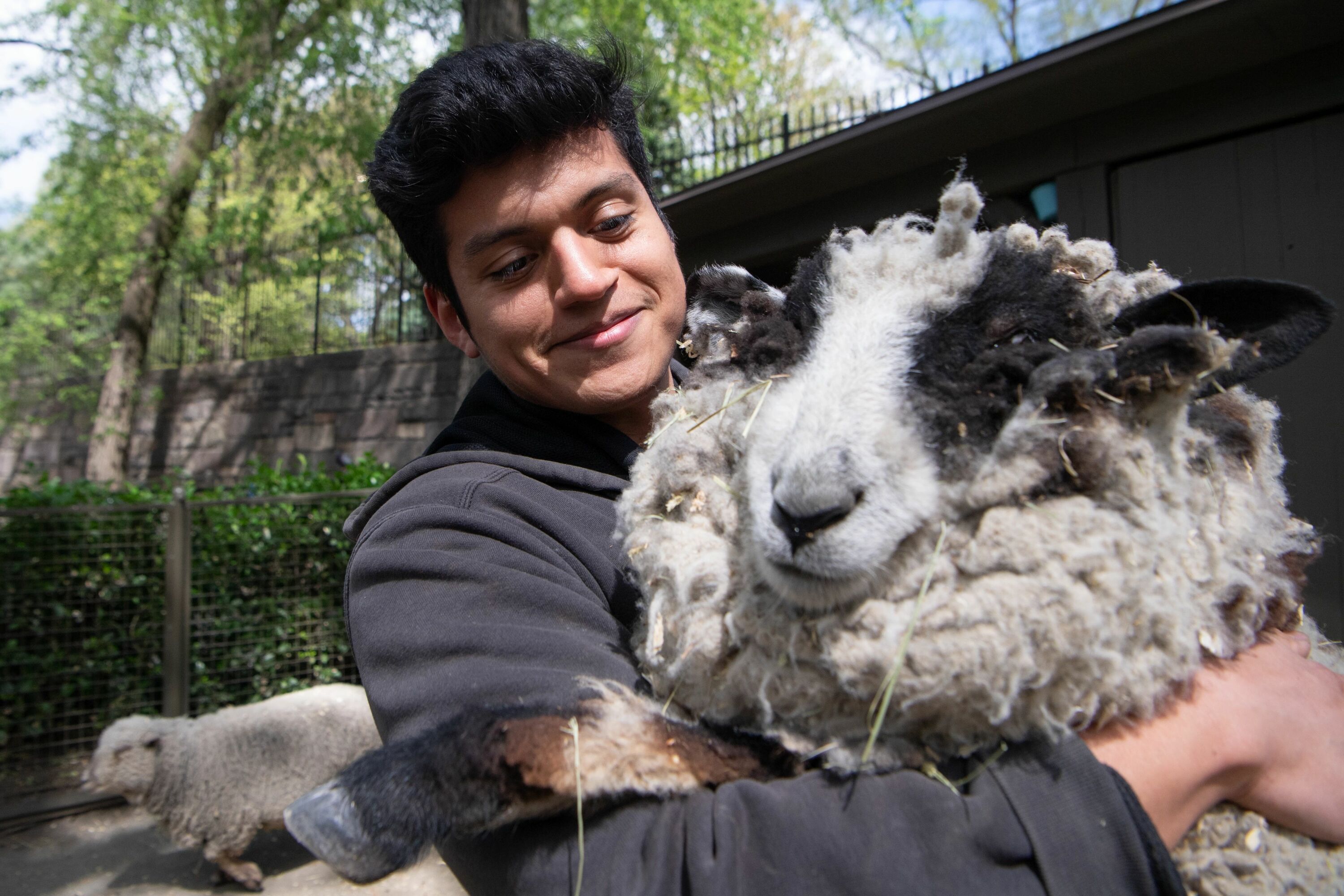 Zookeeping for Grownups at the Central Park Zoo | Things to do in New York