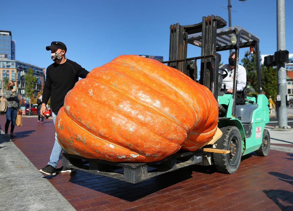 See Boston’s Official Pumpkin at Boston Public Market | Things to do in ...