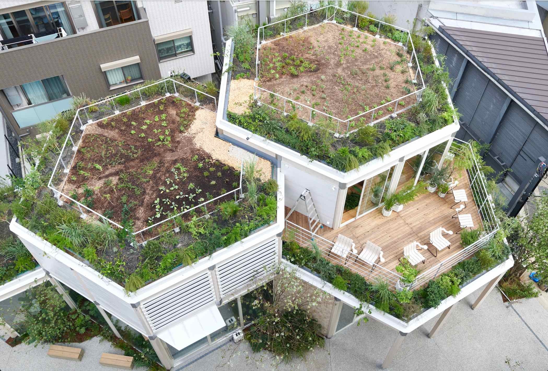 Kengo Kuma-designed Forestgate Daikanyama opens with an impressive ...