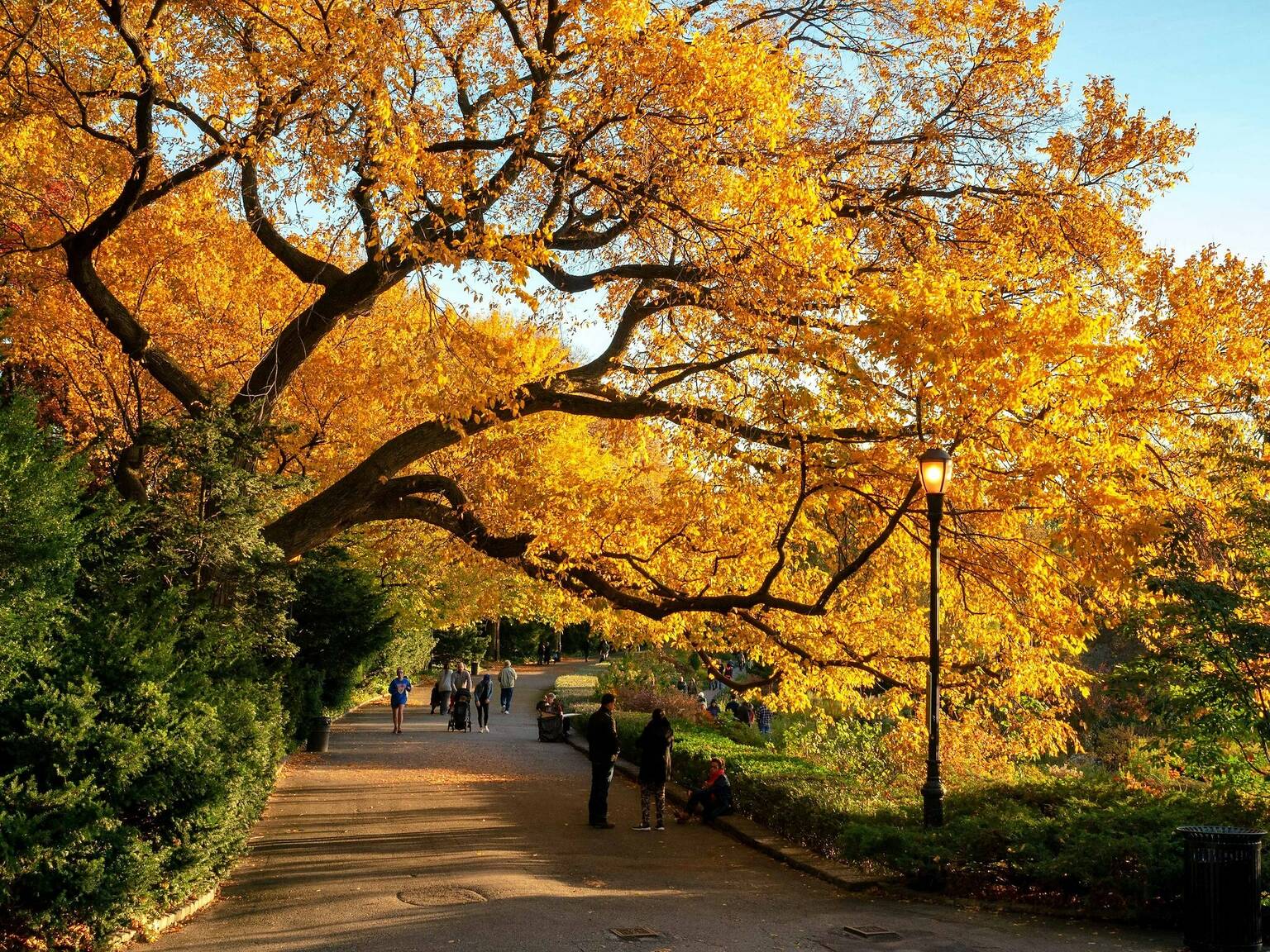 Fort Greene, Brooklyn: The Ultimate Neighborhood Guide to Fort Green ...