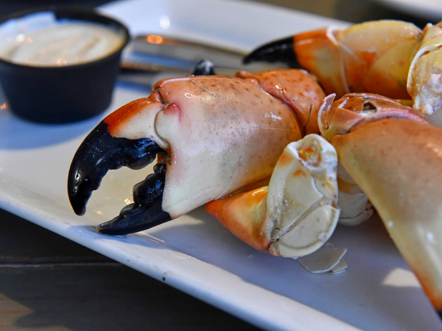 Best Places for Stone Crab Season in Miami, from Old-school Spots to ...