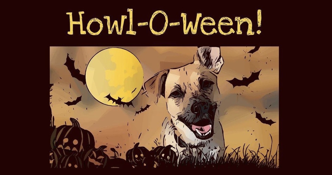 Howl-O-Ween at Peters Park | Things to do in Boston