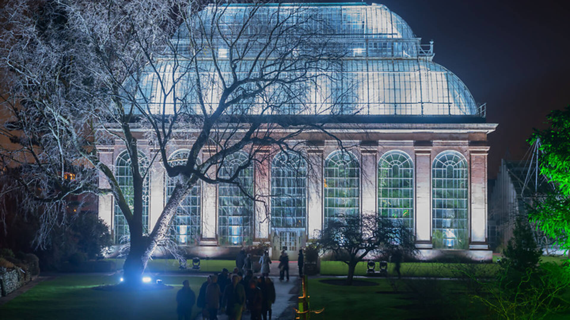 10 of the Most Dazzling Christmas Light Trails in the UK for 2024